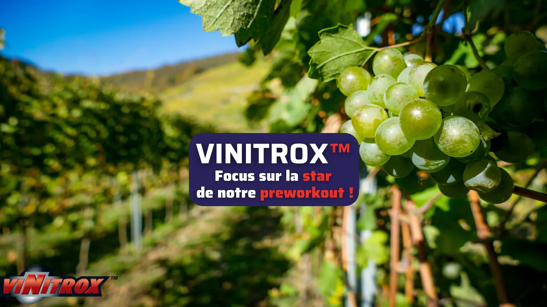 Vinitrox™ la star de notre preworkout - Runfinity